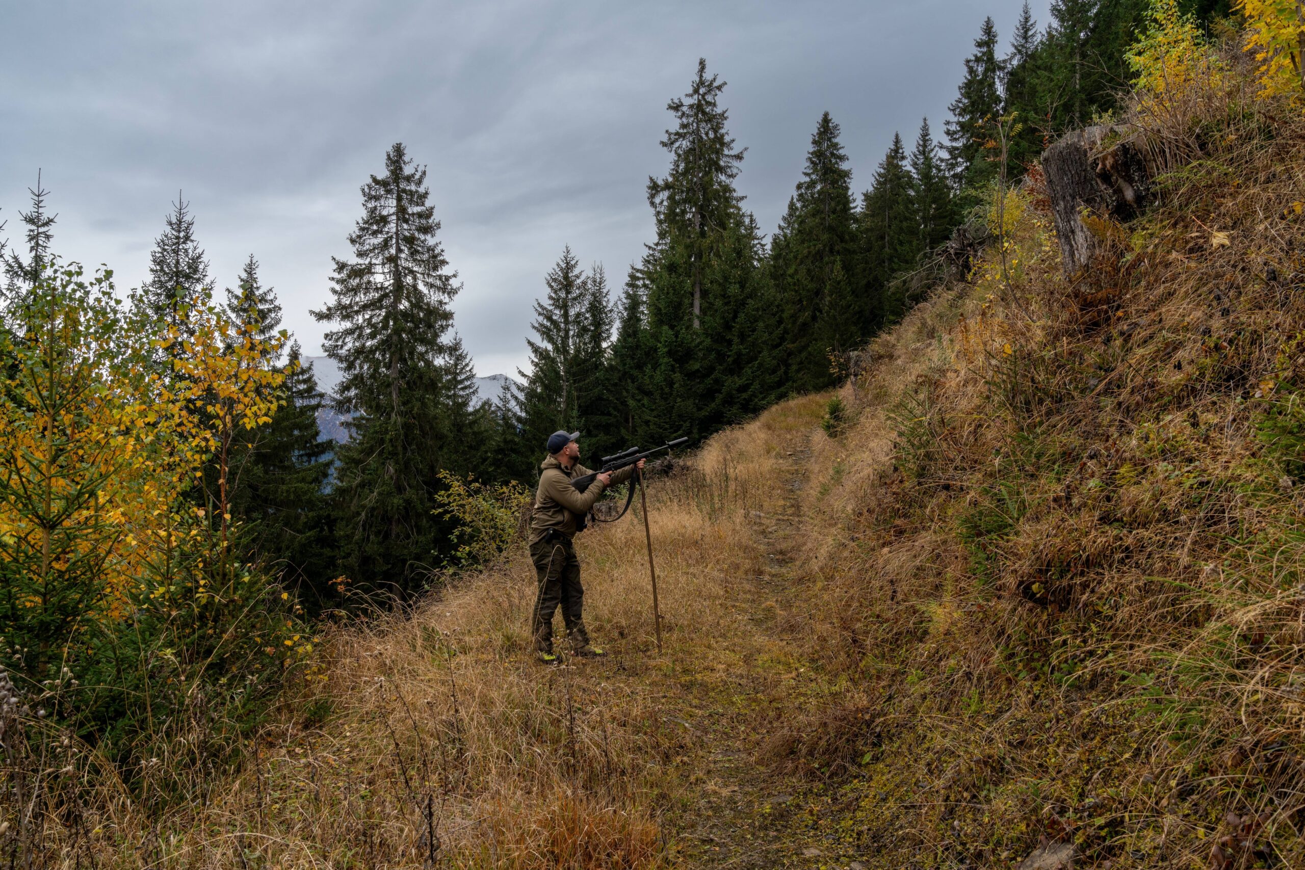 Comment devenir chasseur en Suisse ? - So Chasse