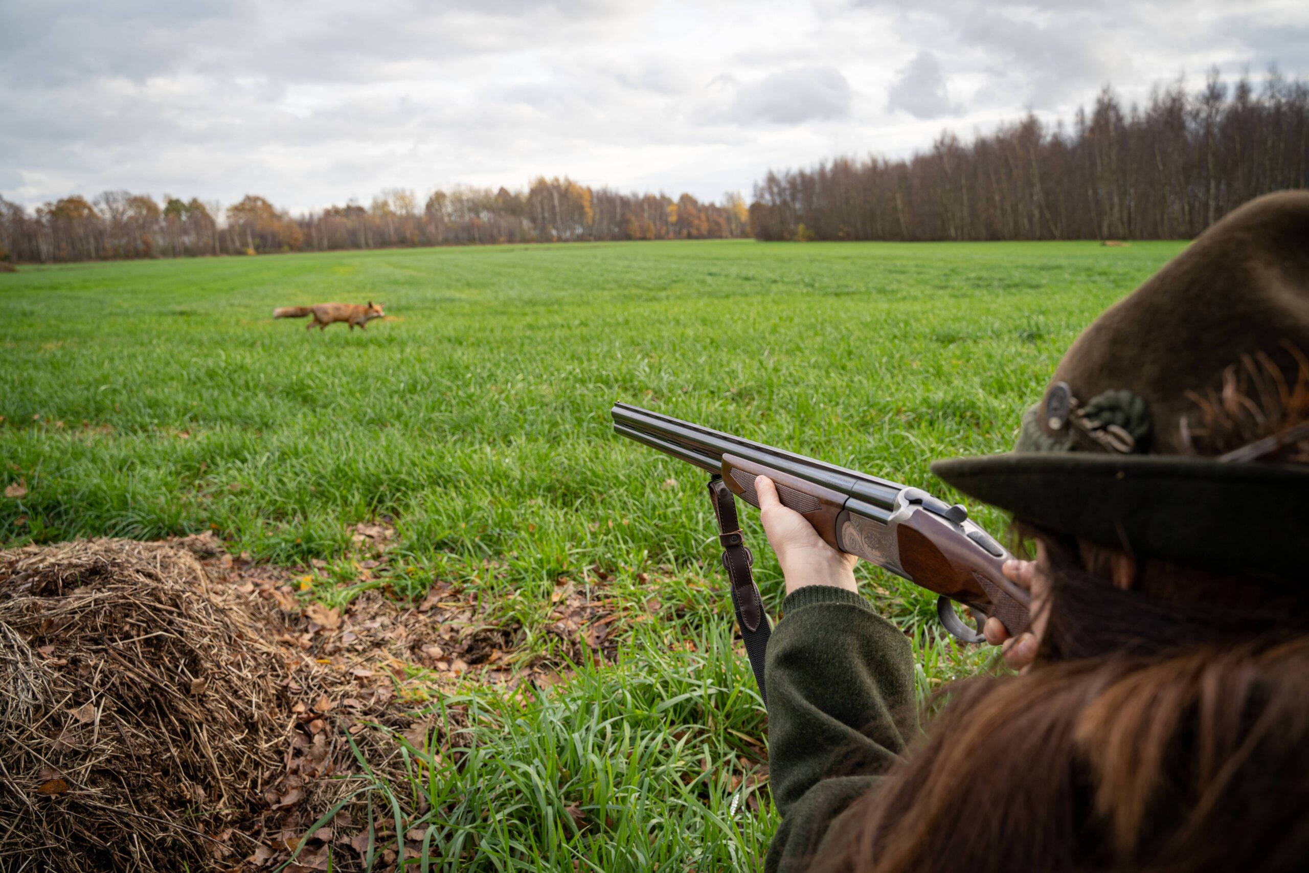 Entraînement au permis de chasser : QCM en ligne, thèmes officiels et ...