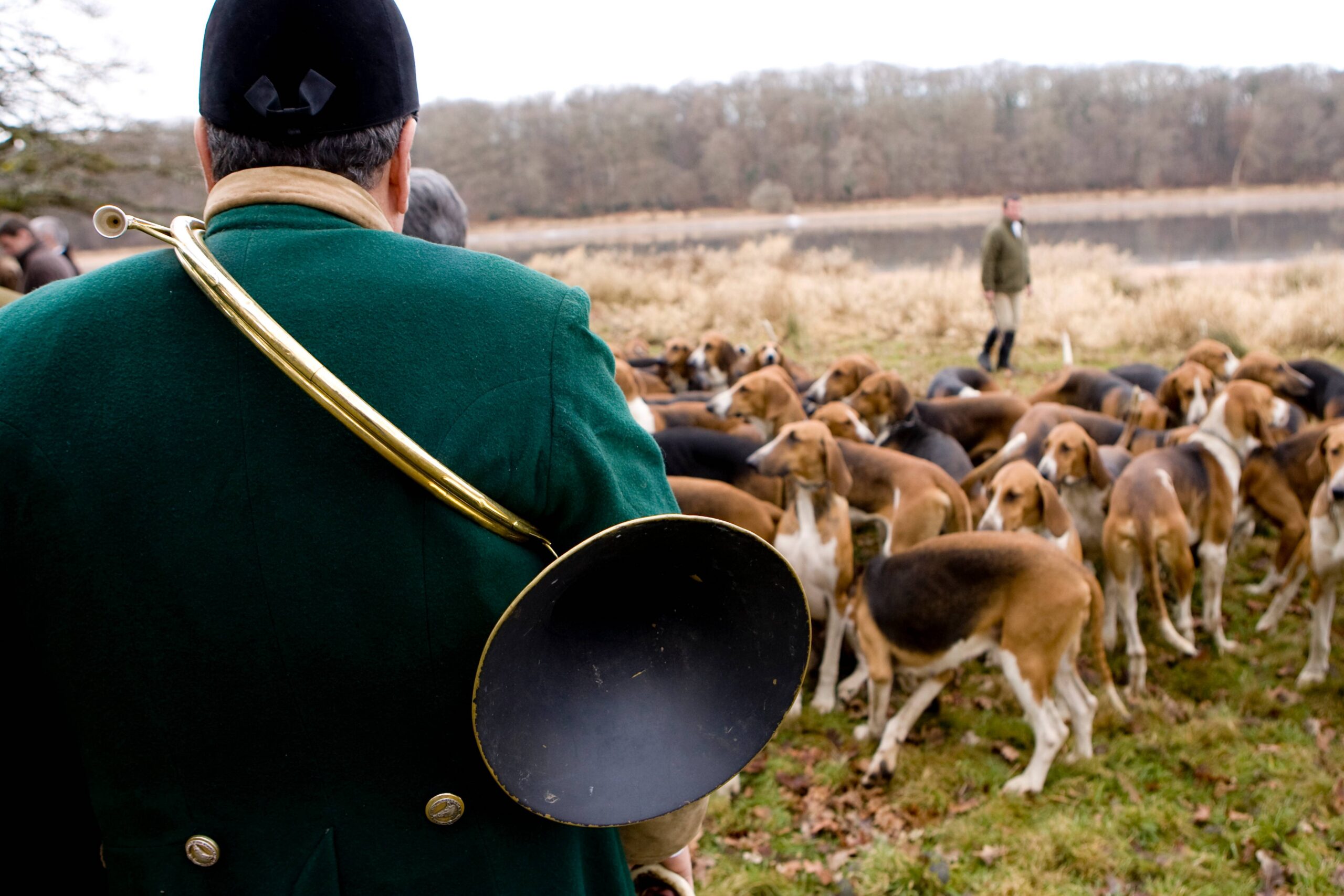 La chasse à courre : tradition, controverse et avenir - So Chasse