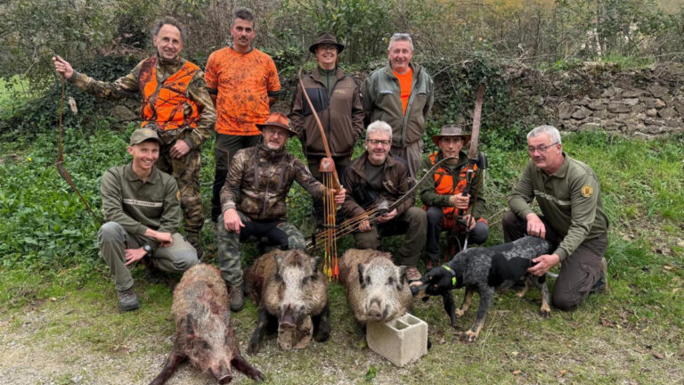 Loire : un sanglier affolé sème la panique dans un bourg, les chasseurs ...